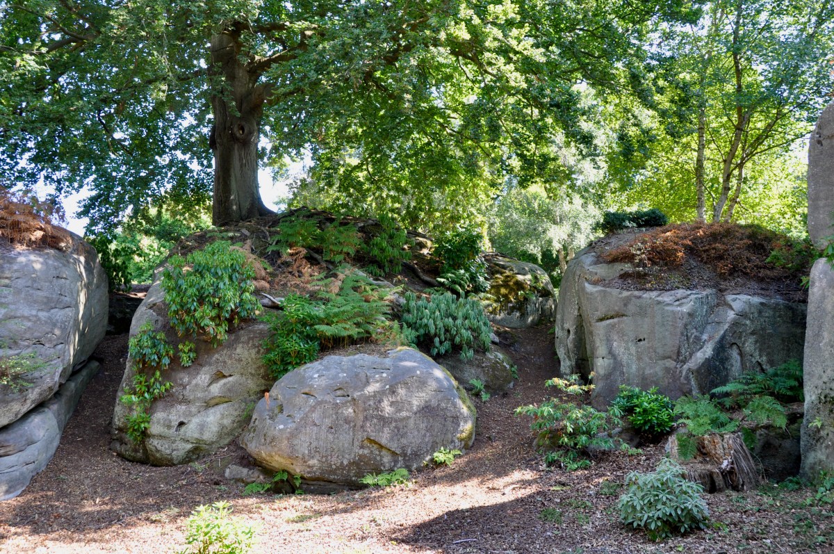 Rocks in the Landscape – Life on the Edge